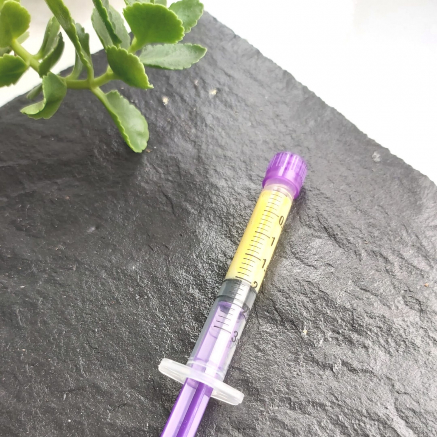 BirthDays | Blog | Everything you need to know about colostrum harvesting